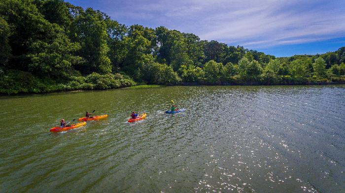 Fota Island Adventure | Pure Cork | Things-to-do
