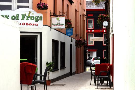 Box of Frogs | Pure Cork | Food-drink