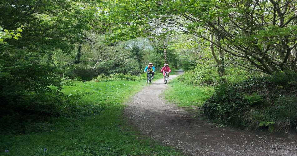 Cycle West Cork | Pure Cork | Things-to-do