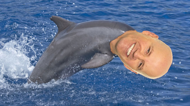 ‘See you in 7 Years, You Pricks’ – Says Dolphin Head